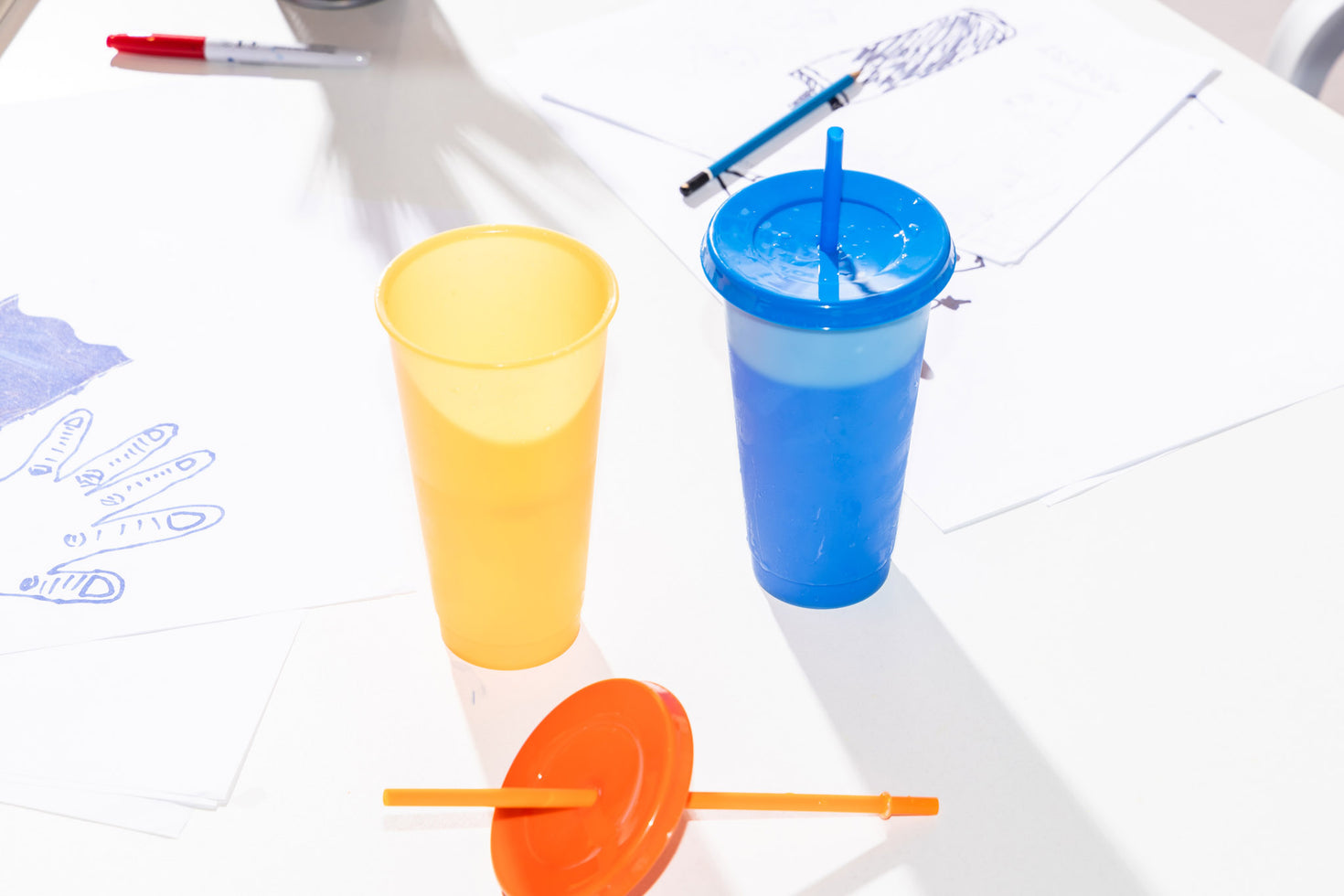 24 oz Chameleon Tumbler – Gordon Sinclair